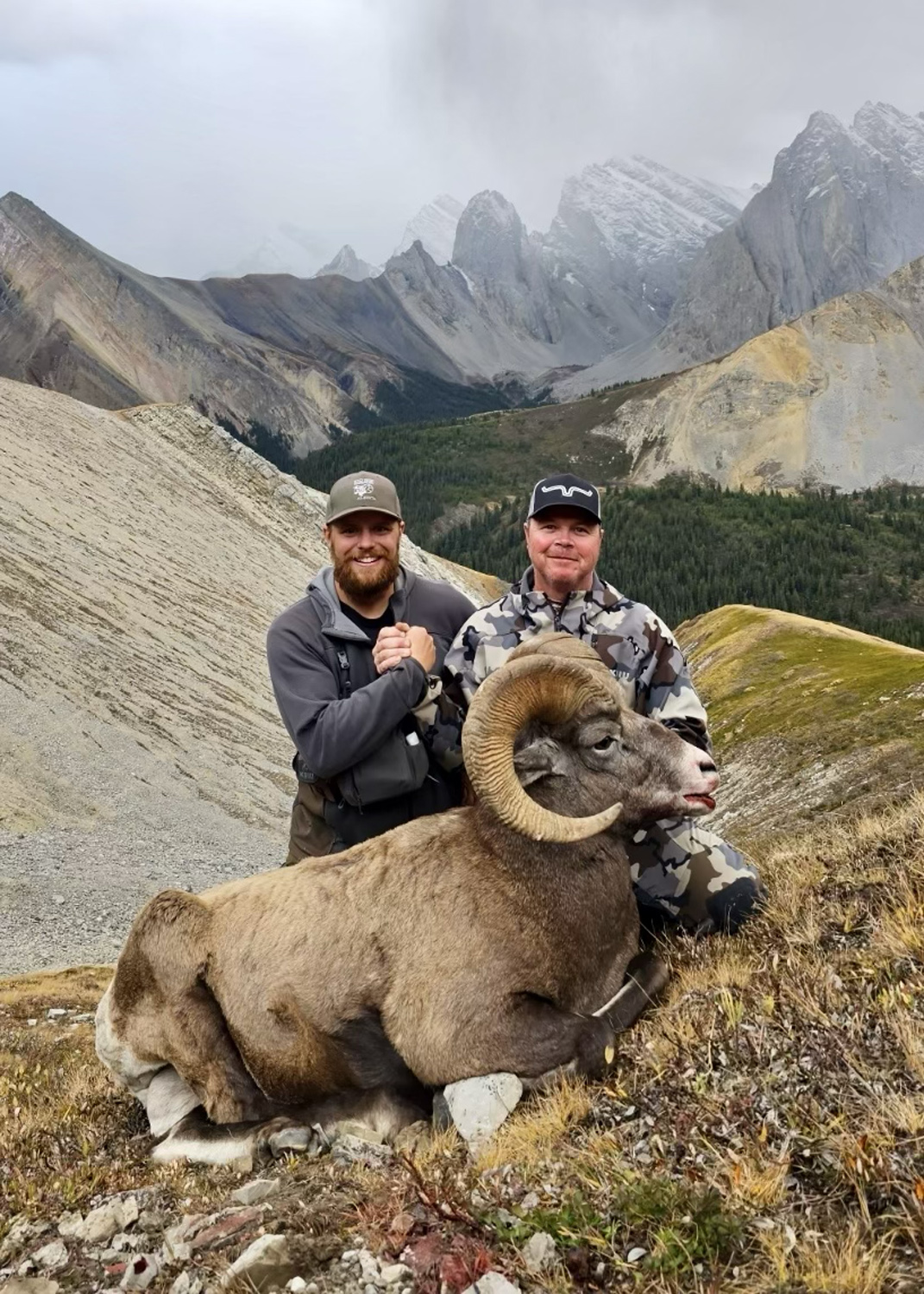 Bighorn Sheep Hunts – Summit Bighorns | Alberta Bighorn Sheep Hunts