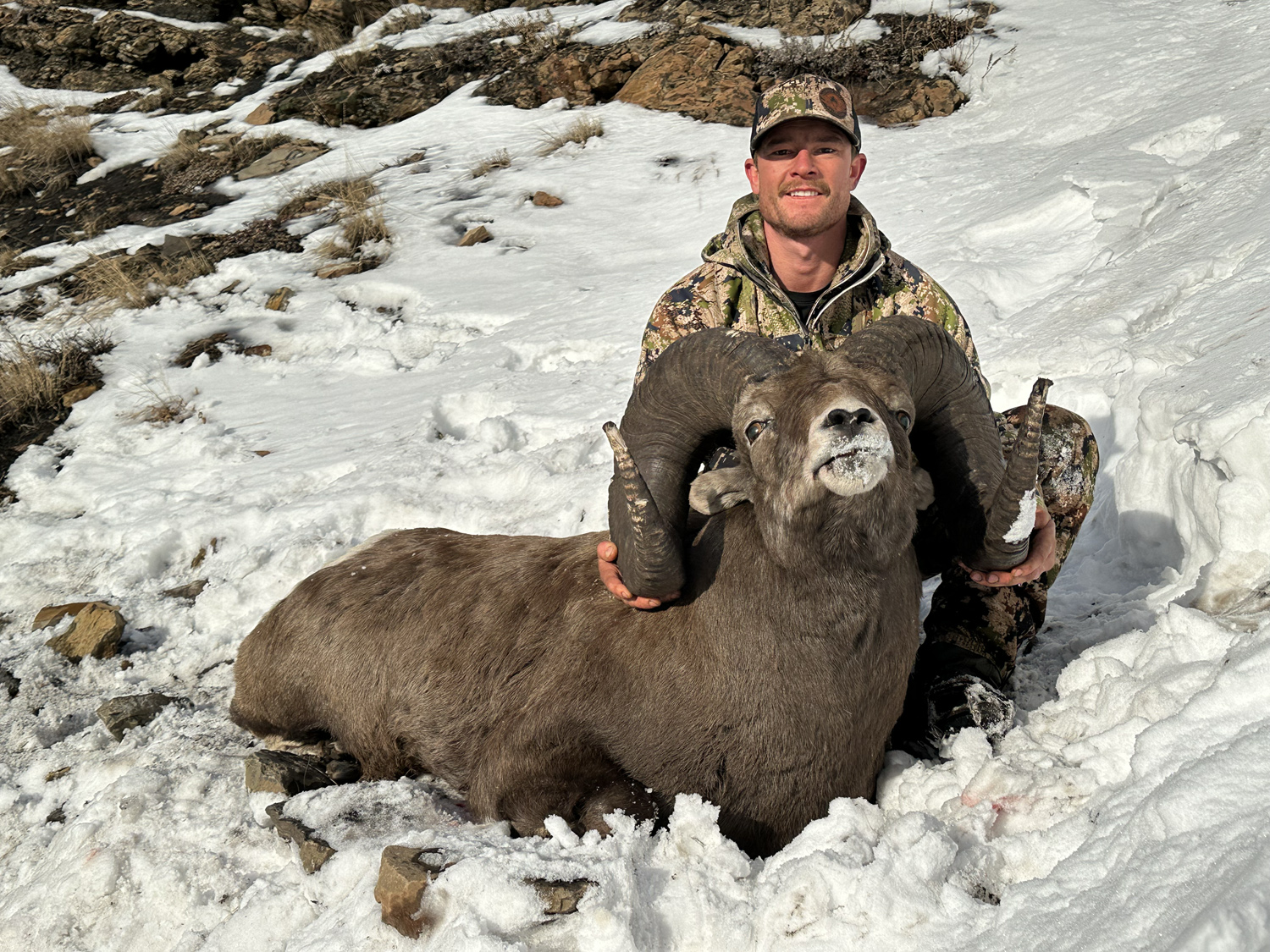 Bighorn Sheep Hunts – Summit Bighorns | Alberta Bighorn Sheep Hunts