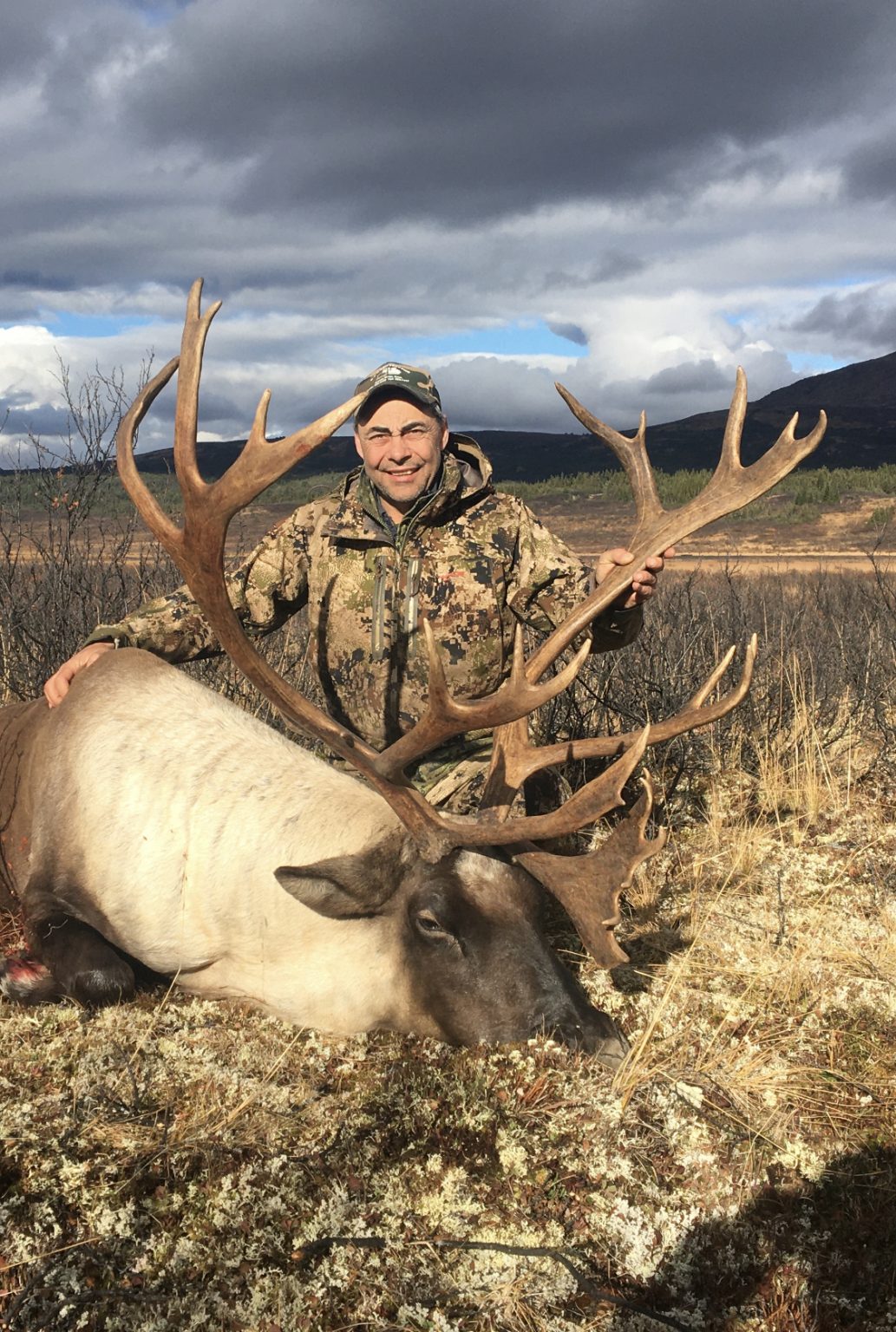 Caribou Hunts – Ceaser Lake Outfitters | Yukon Moose Caribou Sheep Goat ...