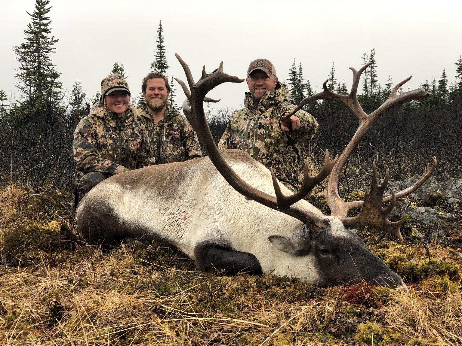 Caribou Hunts – Ceaser Lake Outfitters | Yukon Moose Caribou Sheep Goat ...